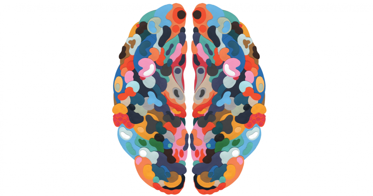 Your Beautiful Brain | Columbia Magazine