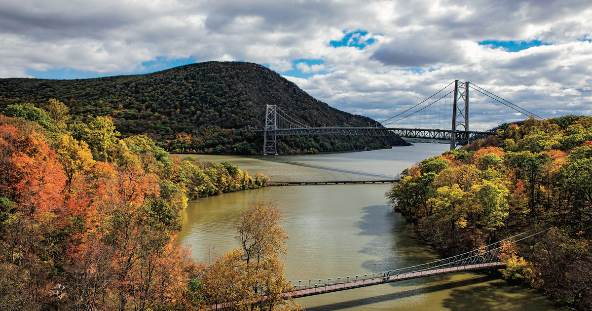 A Prescription for Pollution | Columbia Magazine