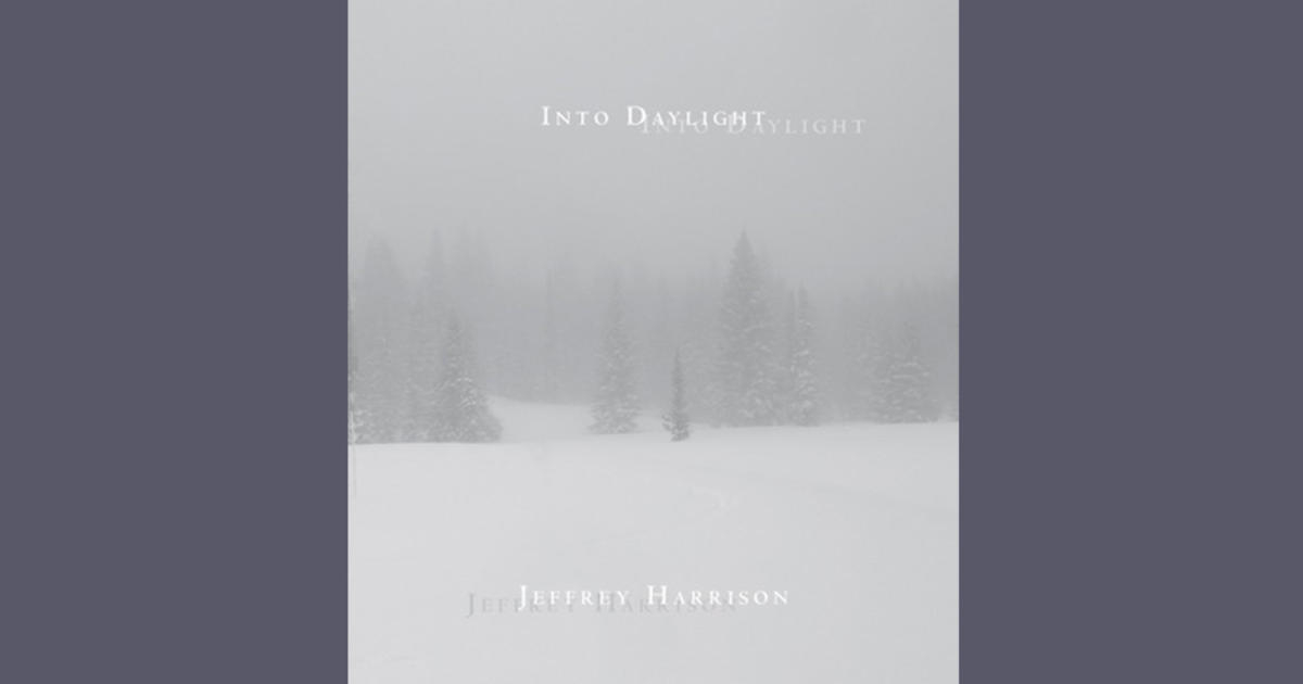 Review: "Into Daylight: Poems" | Columbia Magazine