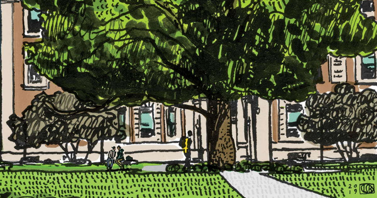 New Digs for Columbia’s Oldest Tree | Columbia Magazine