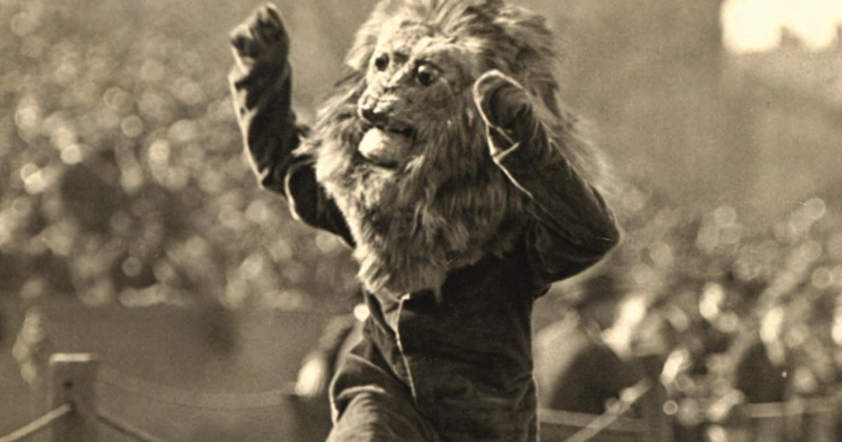 Year of the Lion | Columbia Magazine