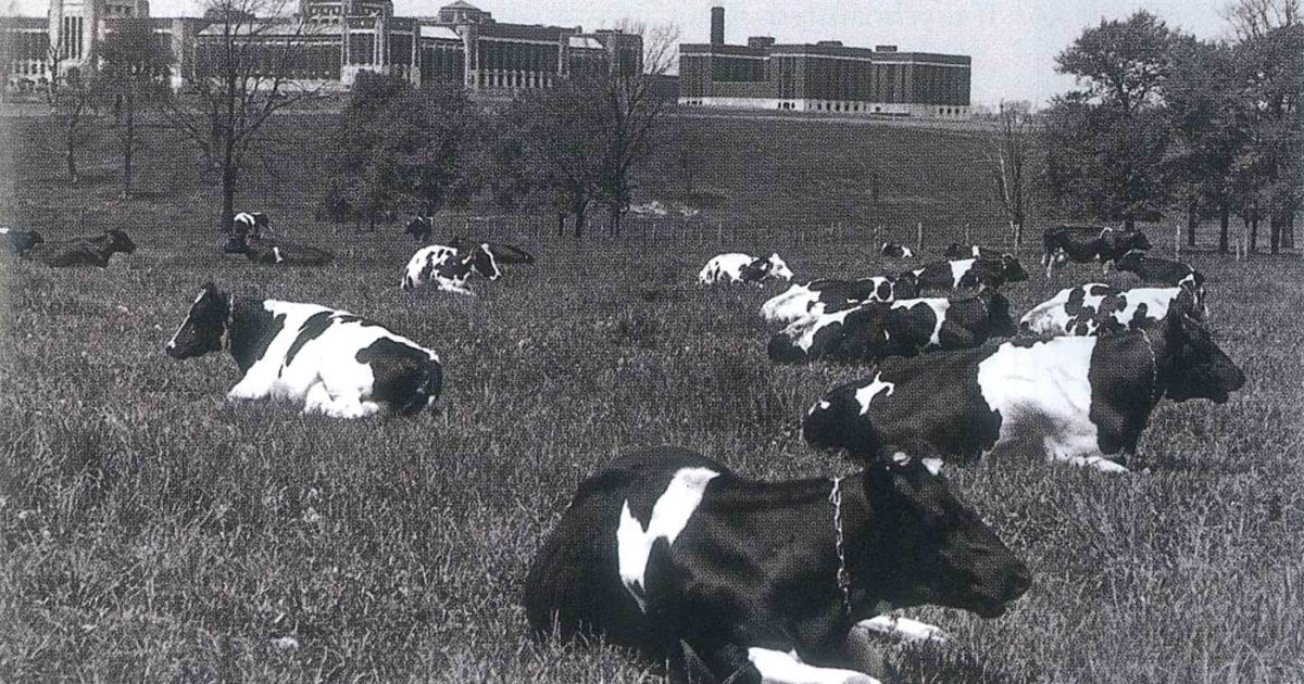 Review: "The Narcotic Farm" | Columbia Magazine