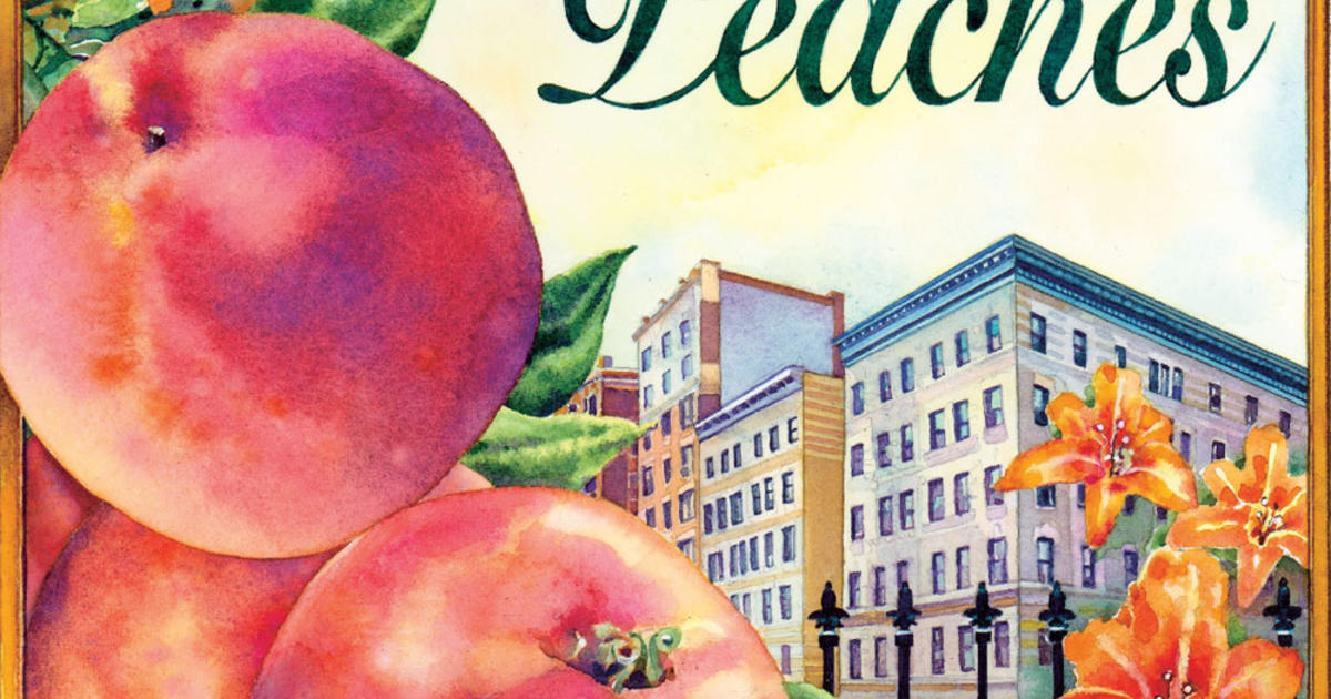 Forbidden Fruit | Columbia Magazine