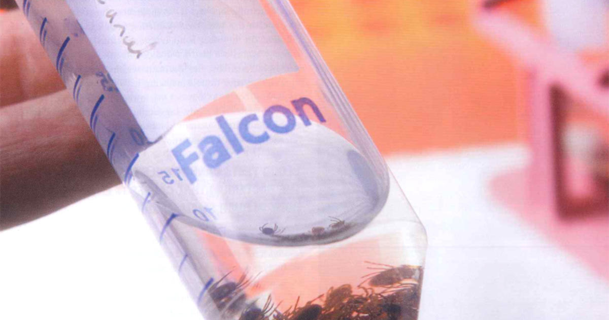 Rash Judgment? | Columbia Magazine