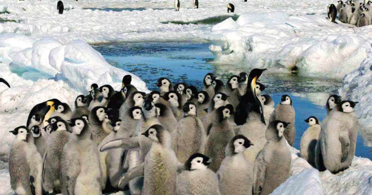 Study Links Thousands of Ecological Changes to Human-Induced Warming ...