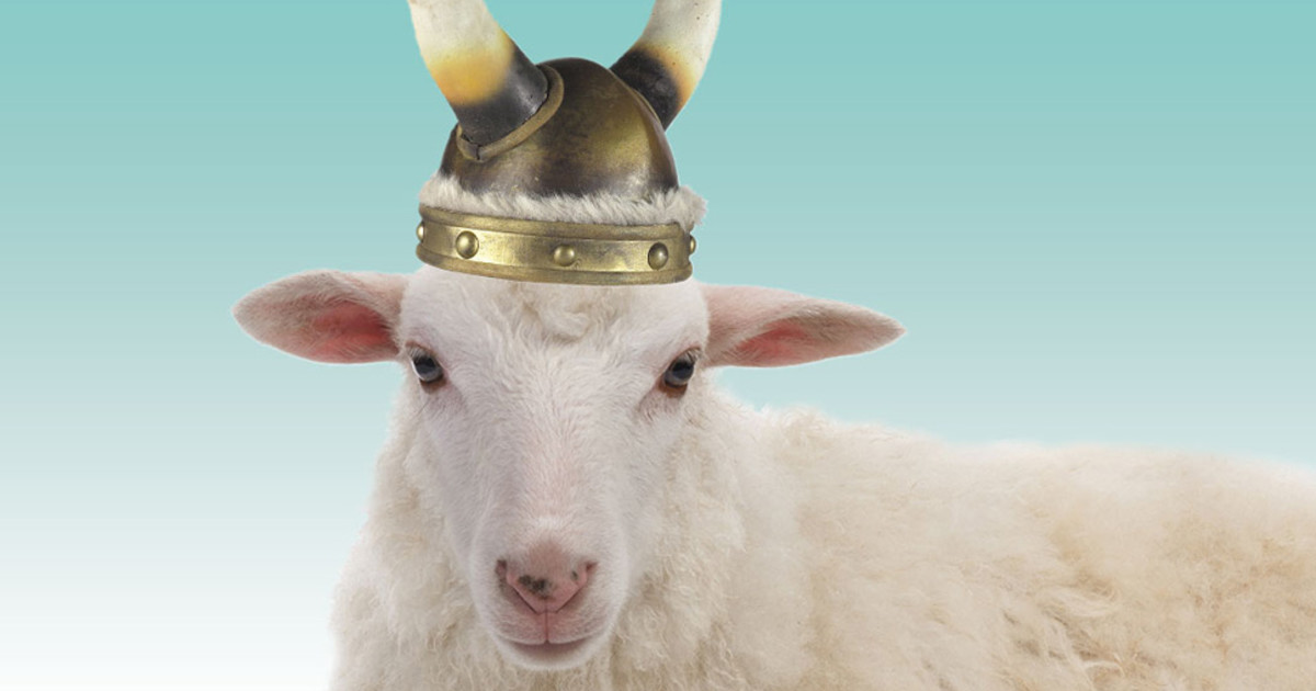 Study of Sheep Poop Leads to Huge Scoop on the Vikings | Columbia Magazine