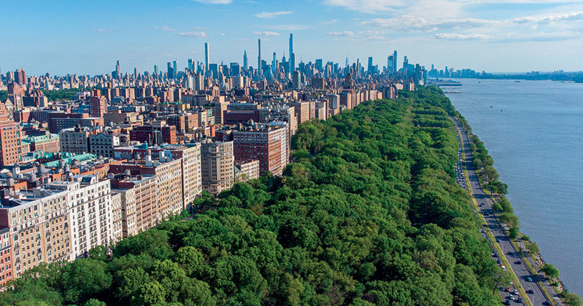 The Incredible Environmental Benefits of NYC Trees | Columbia Magazine